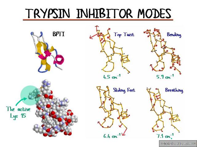 Trypsin_Inhibitor_Modes