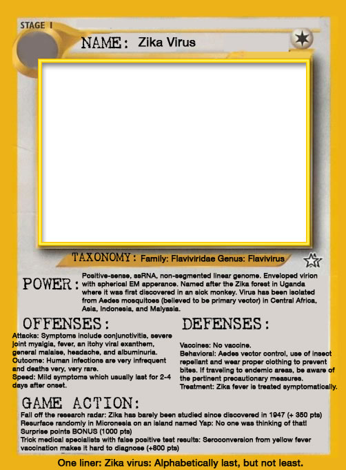 Untitled Document [web.stanford.edu]