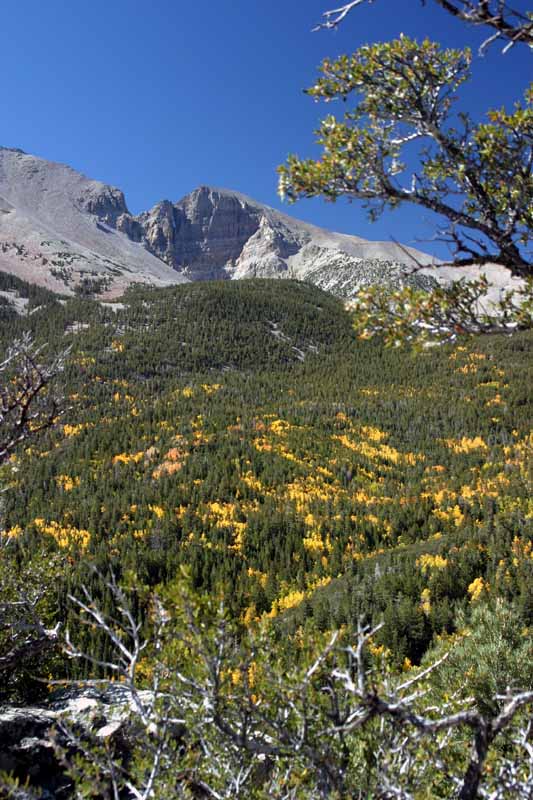 Great Basin NP
