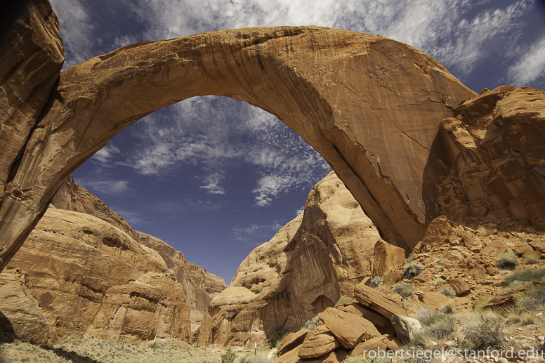 Arches