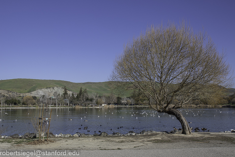 Hellyer County Park 2022