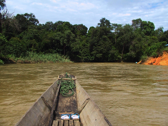 Borneo Pix