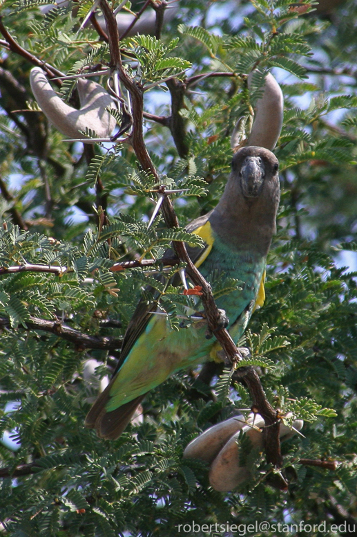 Botswana 2005