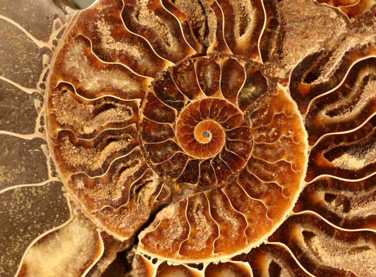 Spirals