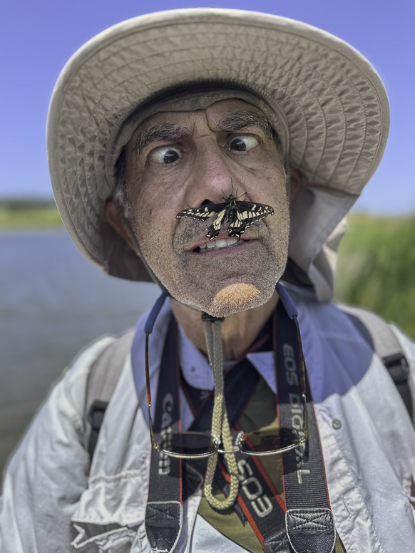 Felt Lake 2025