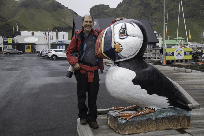 Puffin