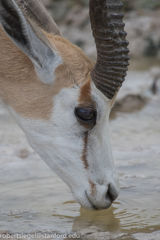 Namibia 2016