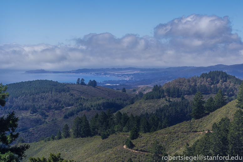 Purissima Creek Redwoods Preserve