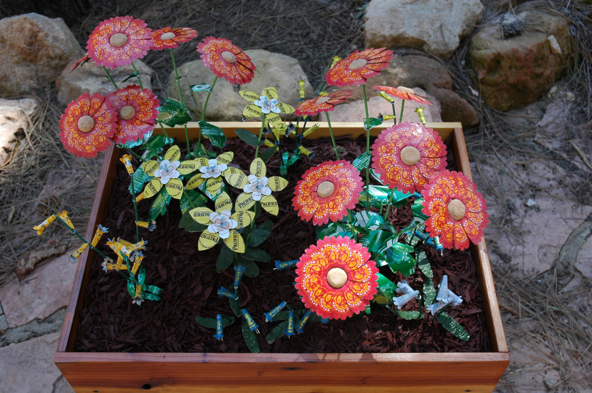 Zinnia Cooperrider